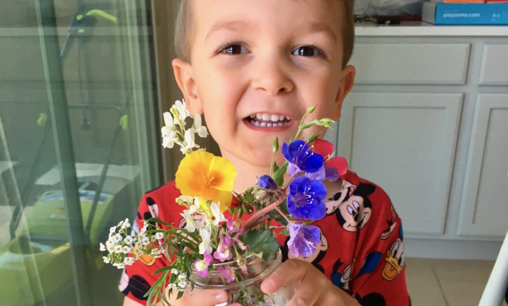 What Is An Emergent Curriculum and What Can It Look Like In The ...